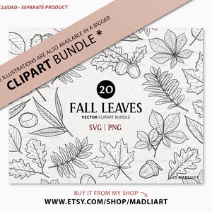 Rowan SVG Clipart Bundle. 4 Rowan Leaves Vector Elements. Fall Leaf ...