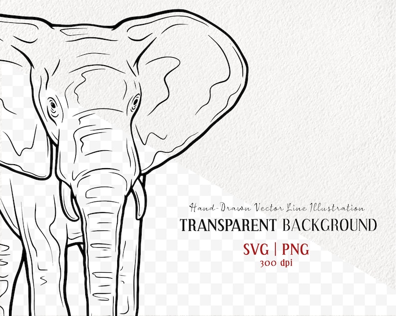 African Elephant Vector Clipart. Safari Animal SVG Outline. - Etsy UK