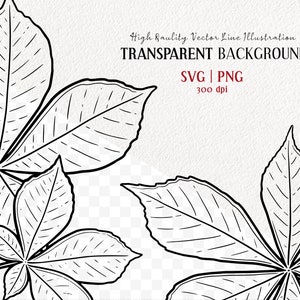 Chestnut SVG Clipart Bundle. 5 Chestnut Vector Leaves. Fall Leaves Line ...
