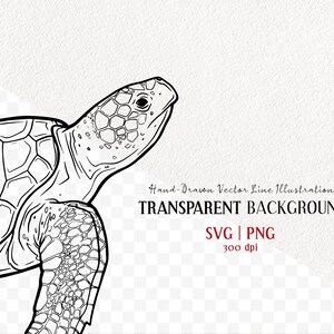 Loggerhead Sea Turtle SVG Clip Art. Sea Turtle Vector Line Art. Sea ...