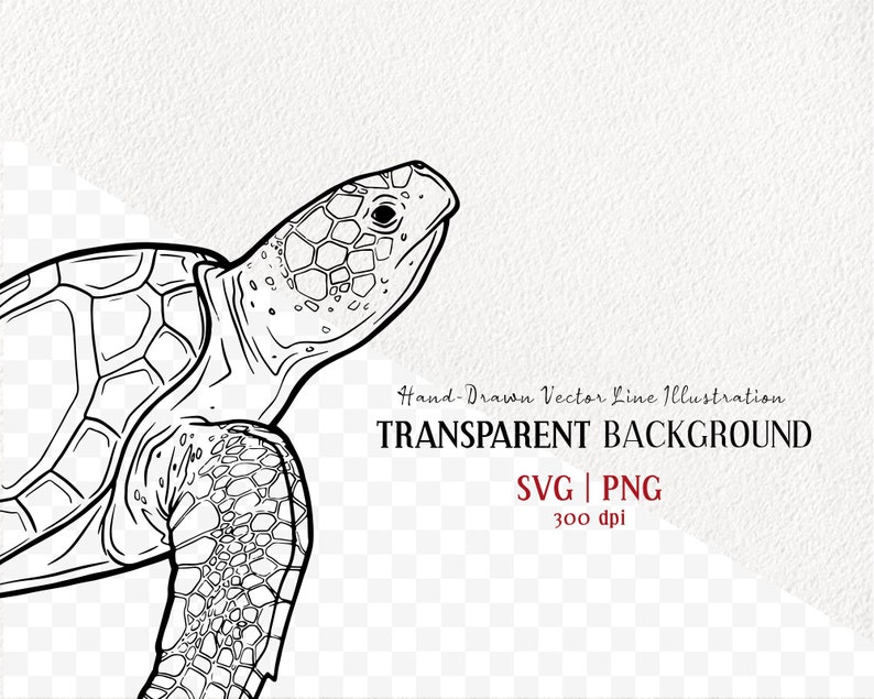 Loggerhead Sea Turtle SVG Clip Art. Sea Turtle Vector Line Art. Sea ...