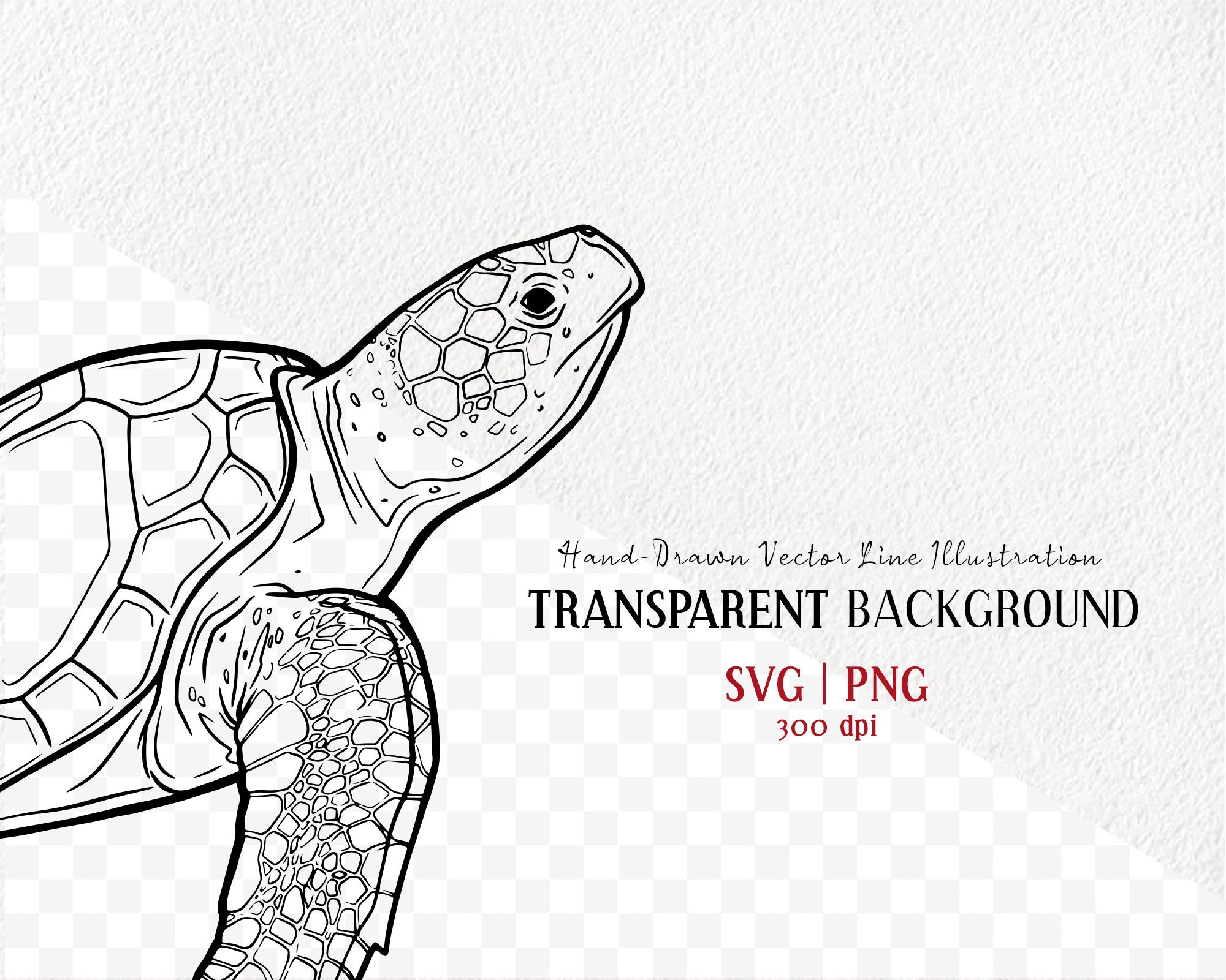 Loggerhead Sea Turtle SVG Clip Art. Sea Turtle Vector Line Art. Sea ...