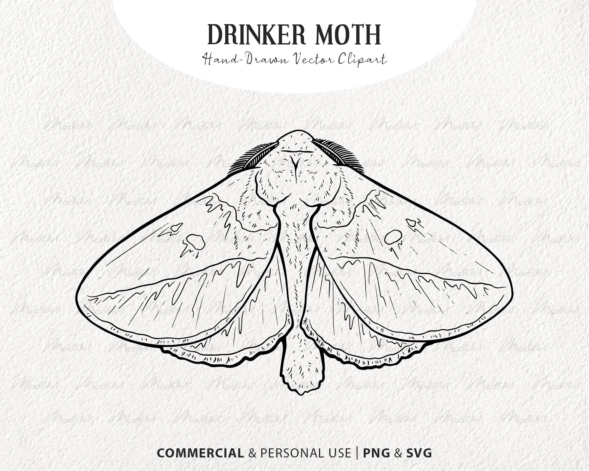 Drinker Moth SVG Vector Clip Art. Butterfly Vector Line Art. Moth ...