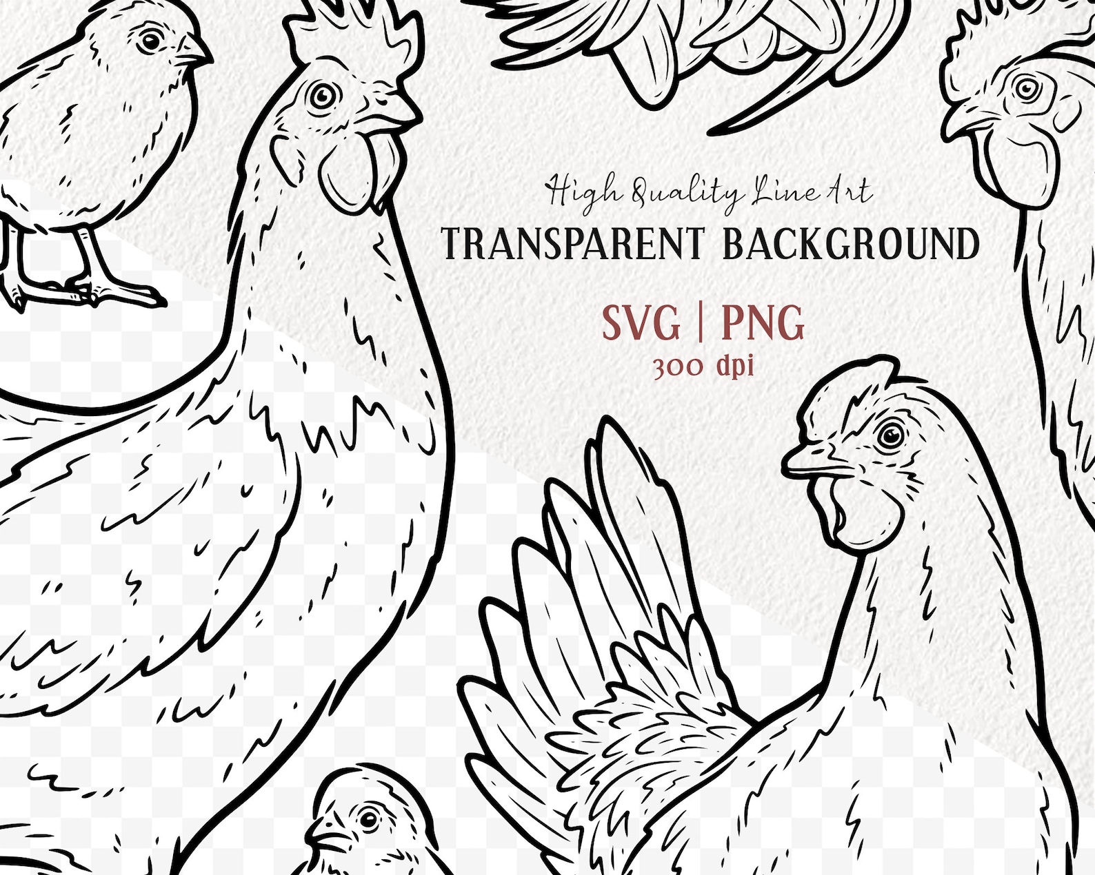 Chicken SVG Clipart Bundle. Hen Rooster Baby Chick Vector Art. Farm ...