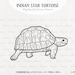 Indian Star Tortoise SVG Clipart. Land Turtle Vector Artwork. Cute ...