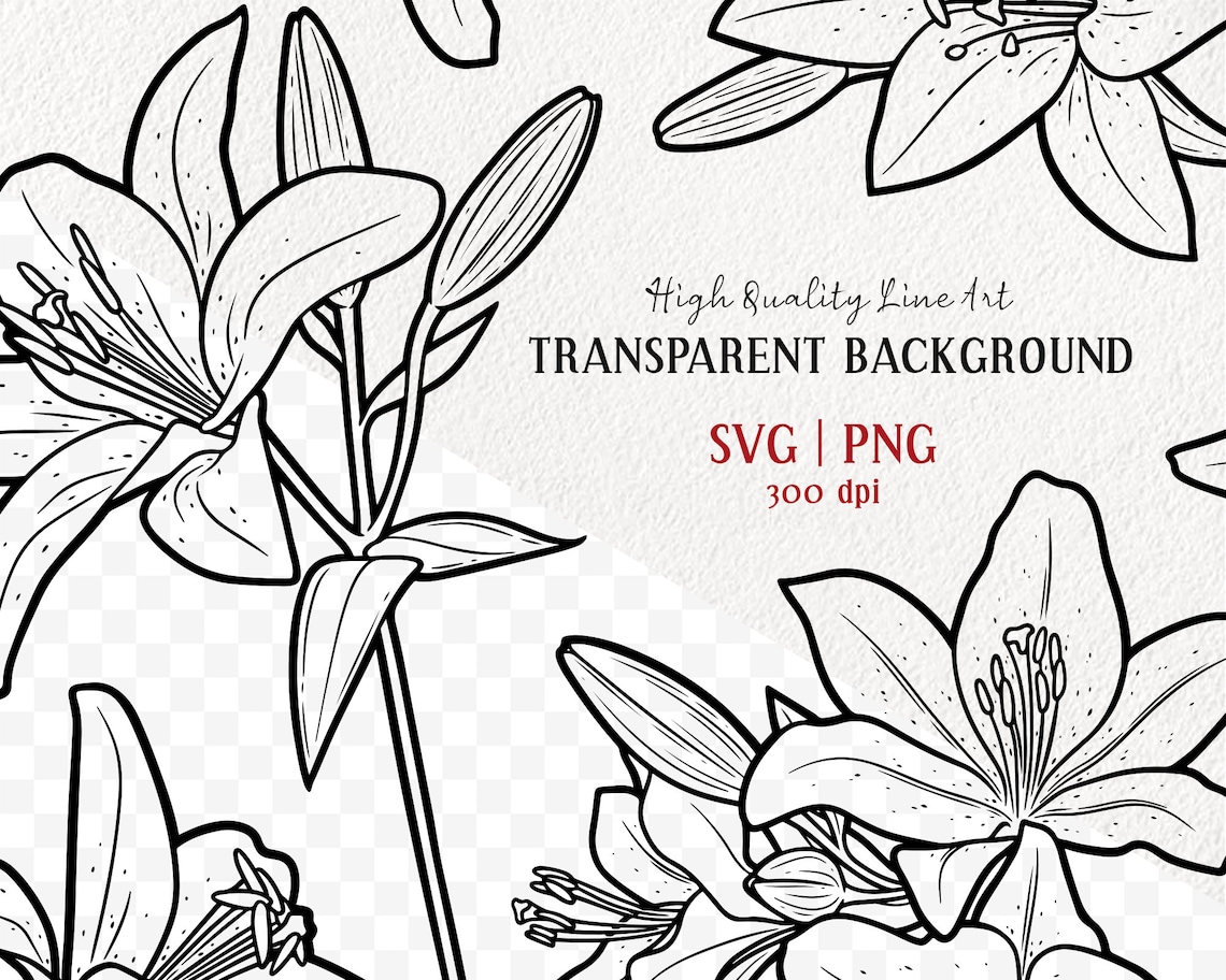 7 Lily Flower SVG Clipart Bundle. Tiger Lily Blossoms. Flower - Etsy