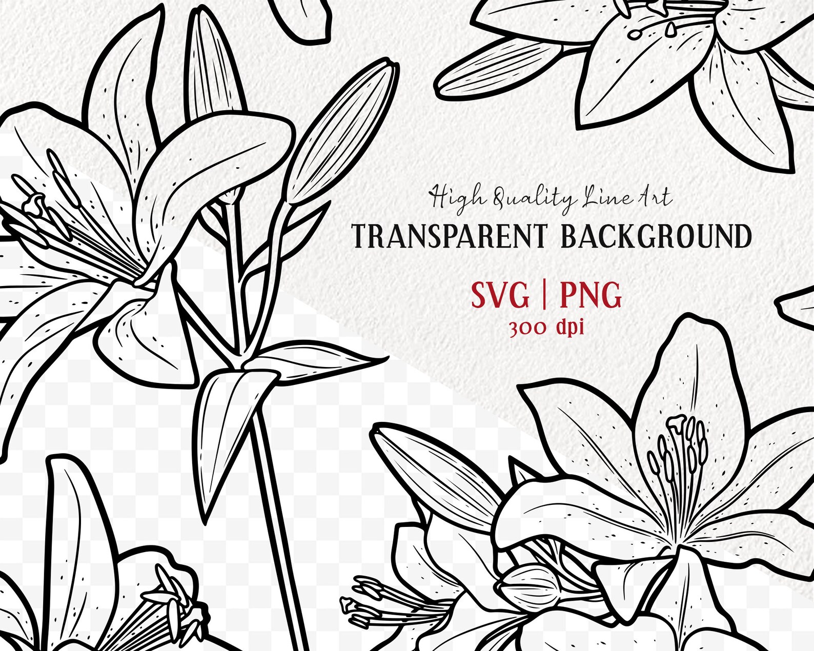 7 Lily Flower SVG Clipart Bundle. Tiger Lily Blossoms. Flower Bouquet ...