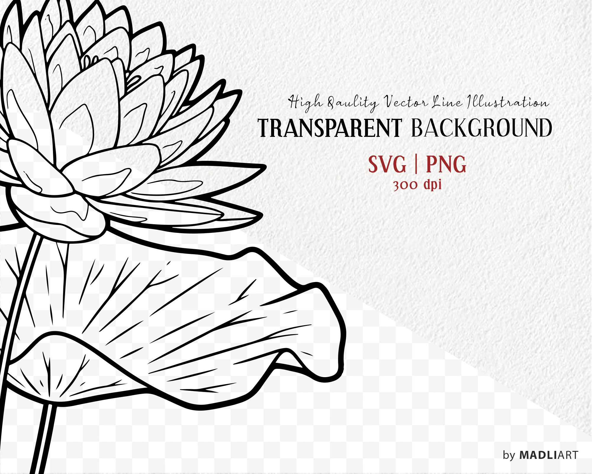 Lotus Line Drawing Vector