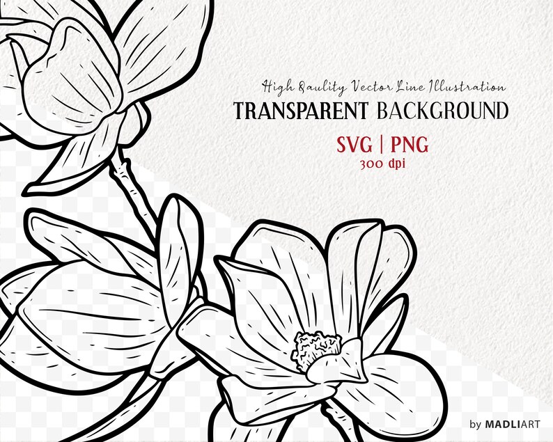 Magnolia SVG Clipart. Magnolia Blossom Vector Illustration. Magnolia ...