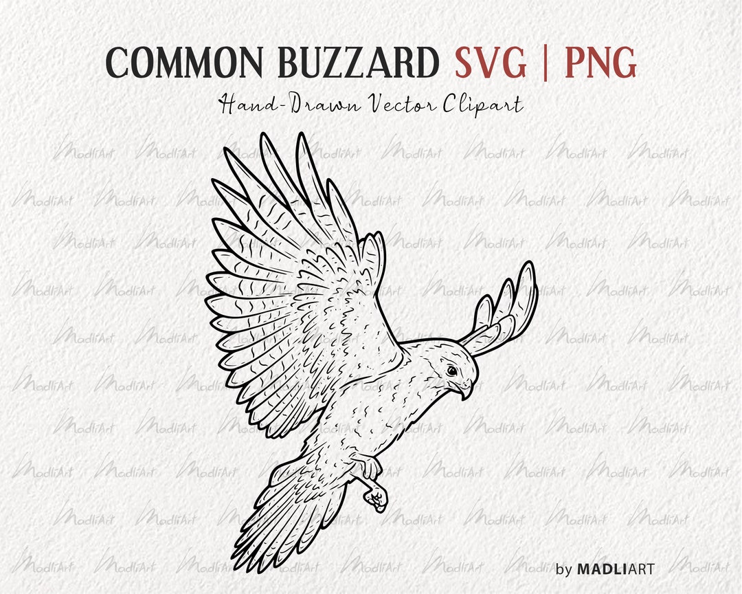 Common Buzzard SVG Clipart Bundle. Hawk SVG Bird Outline. Eagle Vector ...
