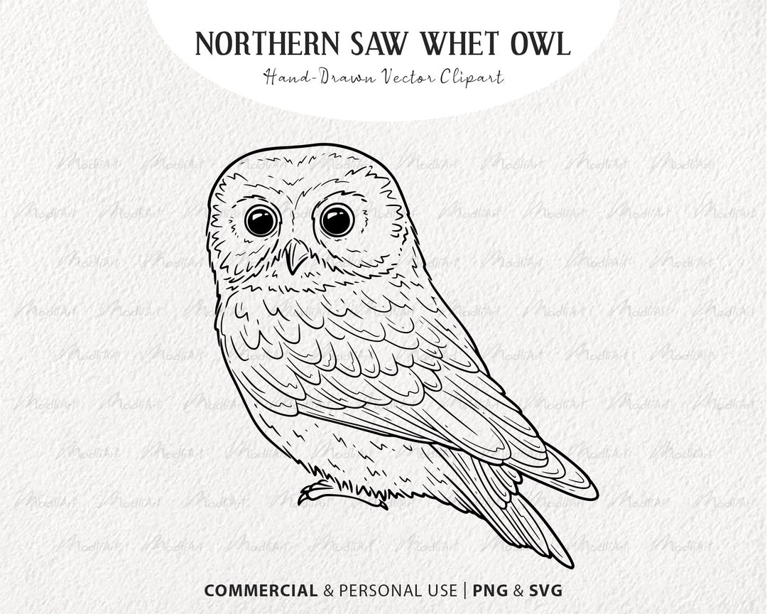 Northern Saw-whet Owl SVG Clipart. Snowy Owl Vector Artwork. Flying ...