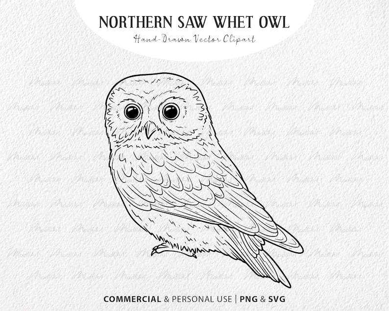 Northern Saw-whet Owl SVG Clipart. Snowy Owl Vector Artwork. Flying ...