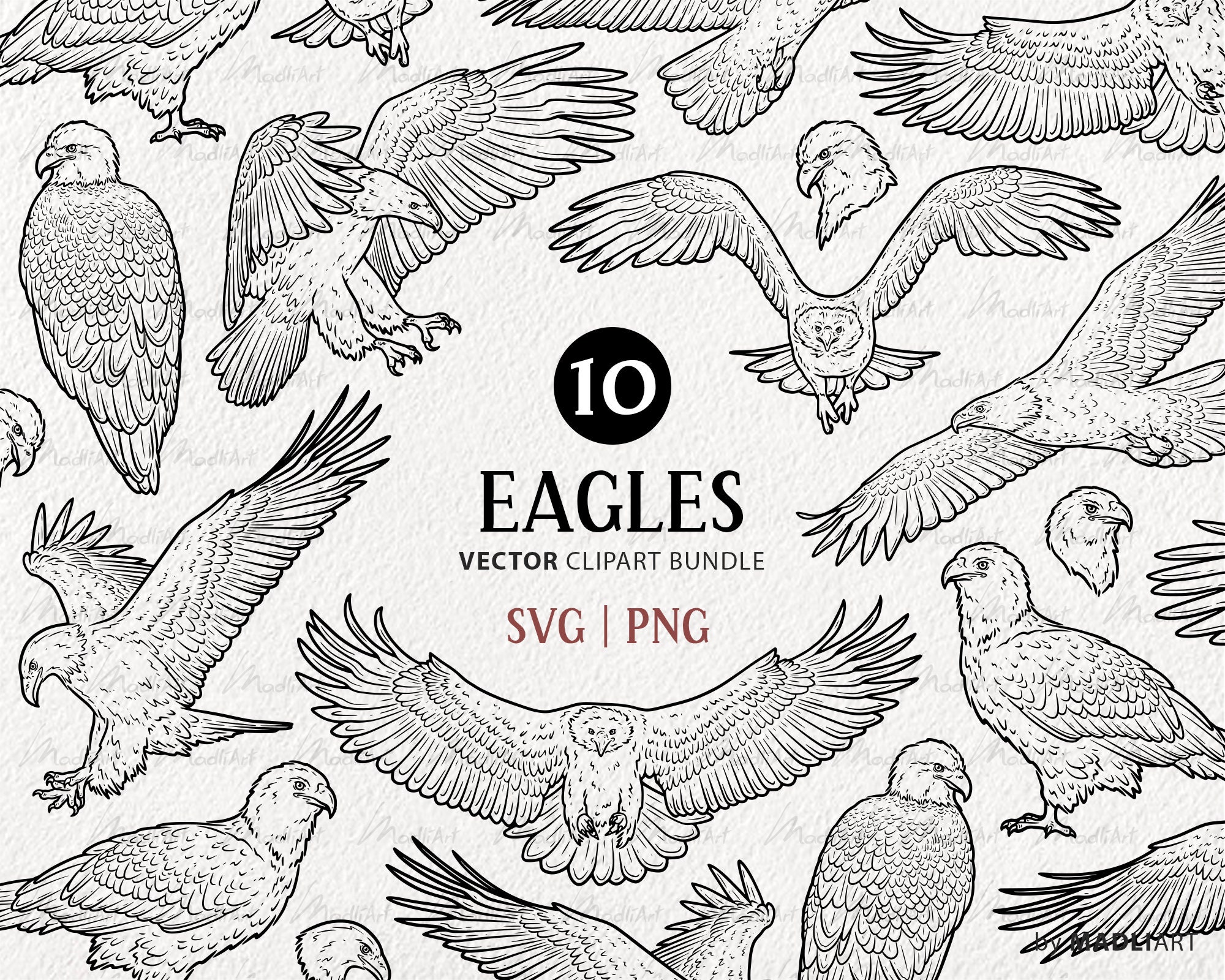 10 Eagle SVG Clipart Bundle. Bald Eagle Vector Line Drawings. Eagle ...