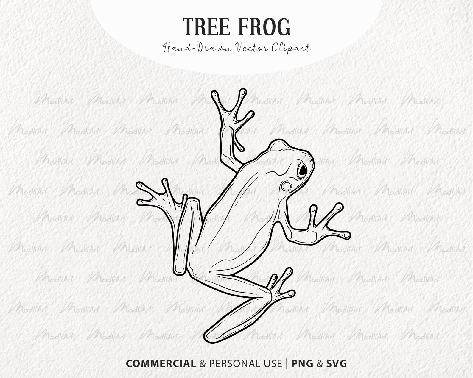 Tree Frog SVG Clipart. Frog Vector Drawing. Green, White and Red-eyed ...