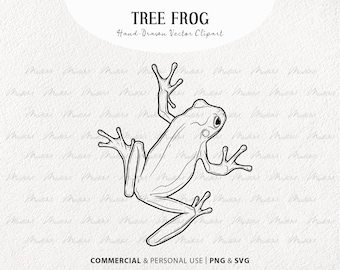 Tree Frog SVG Clipart. Frog Vector Drawing. Green, White and Red-eyed ...