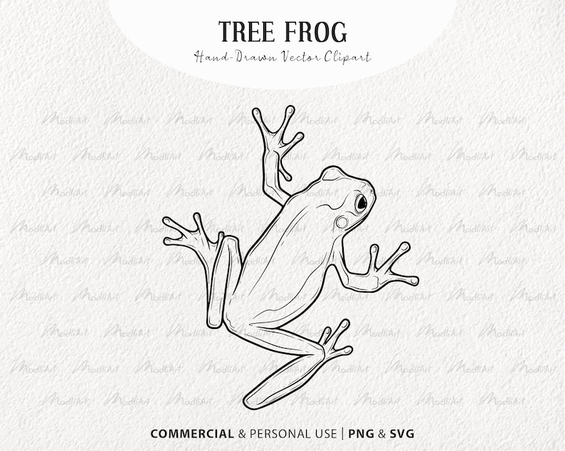 Tree Frog SVG Clipart. Frog Vector Drawing. Green, White and Red-eyed ...
