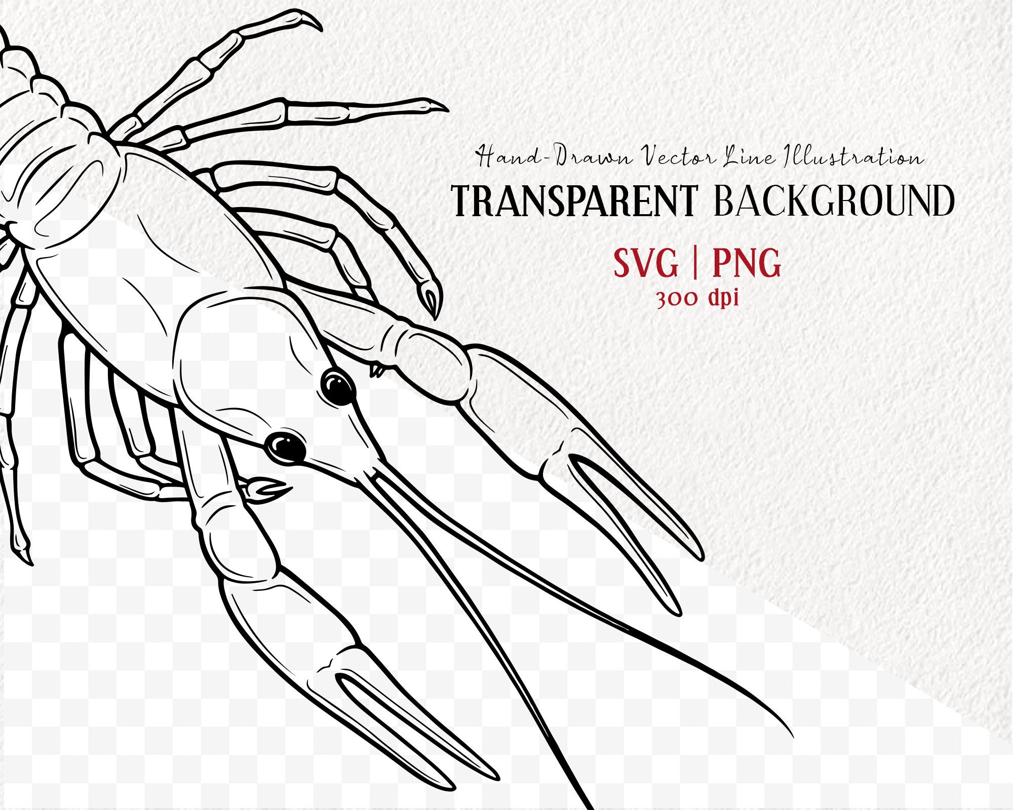 Crawfish SVG Clipart. Crab Svg Line Drawing. Crawfish Vector Drawing ...