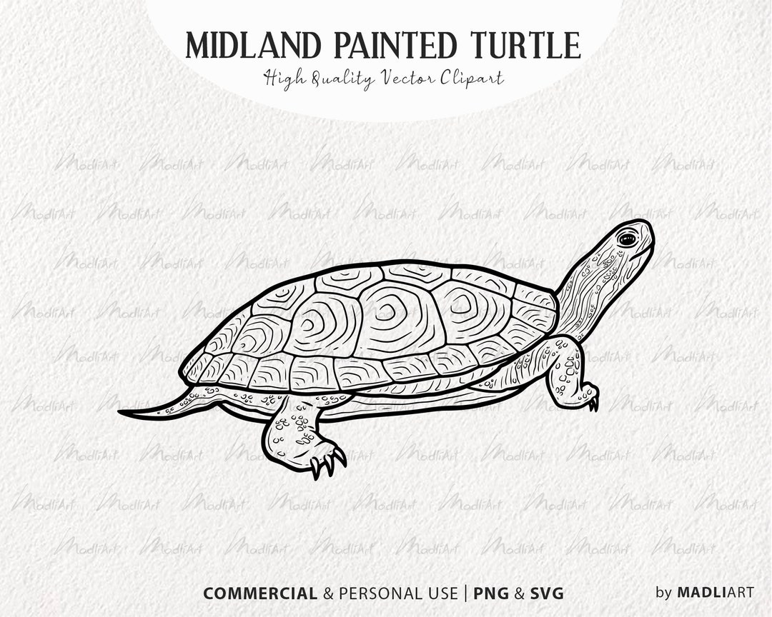 Midland Painted Turtle SVG Clipart. Land Tortoise Vector Artwork. Cute ...