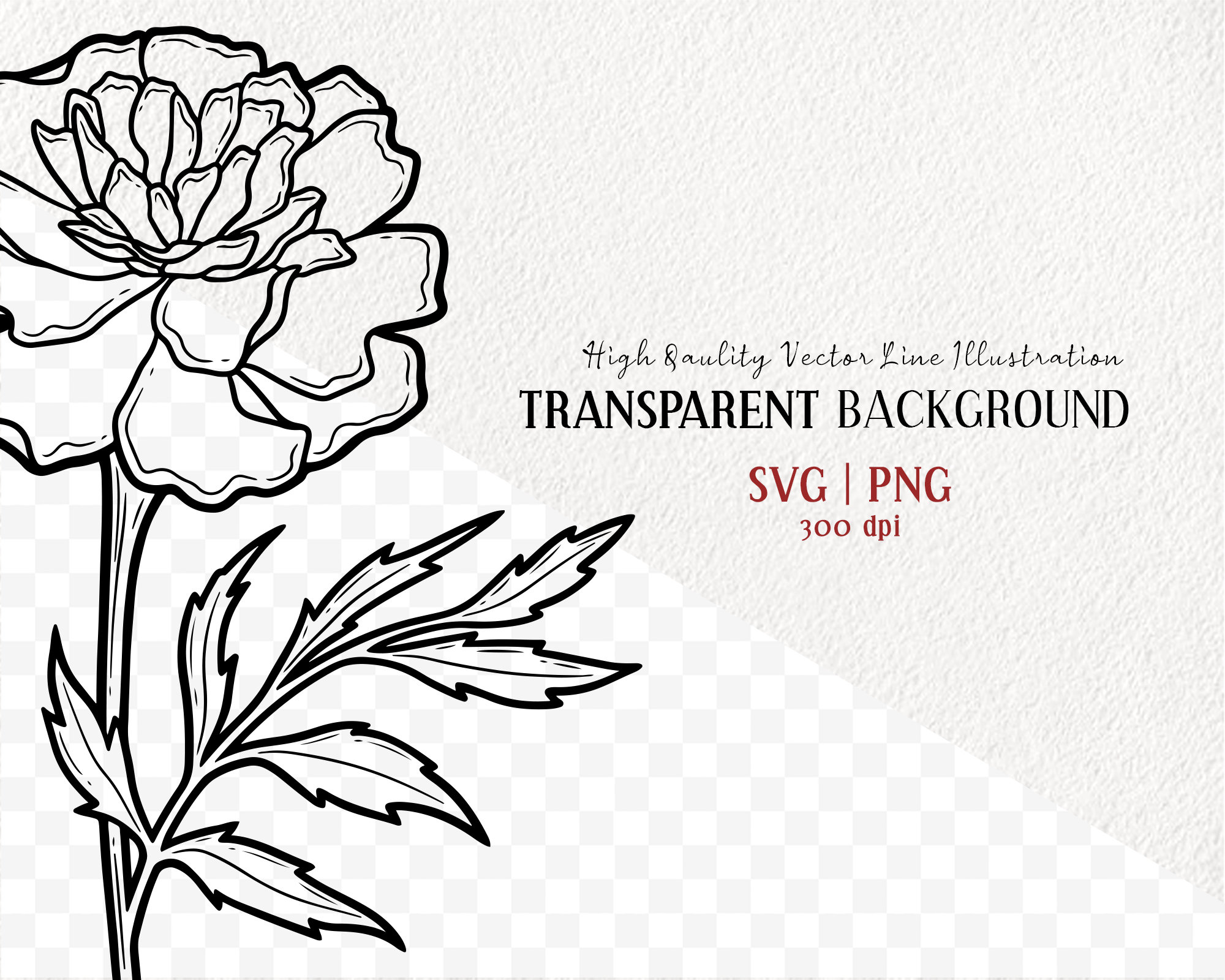 Marigold SVG Clipart. Spring Marigold Vector Blossom. Flower Stalk Line ...