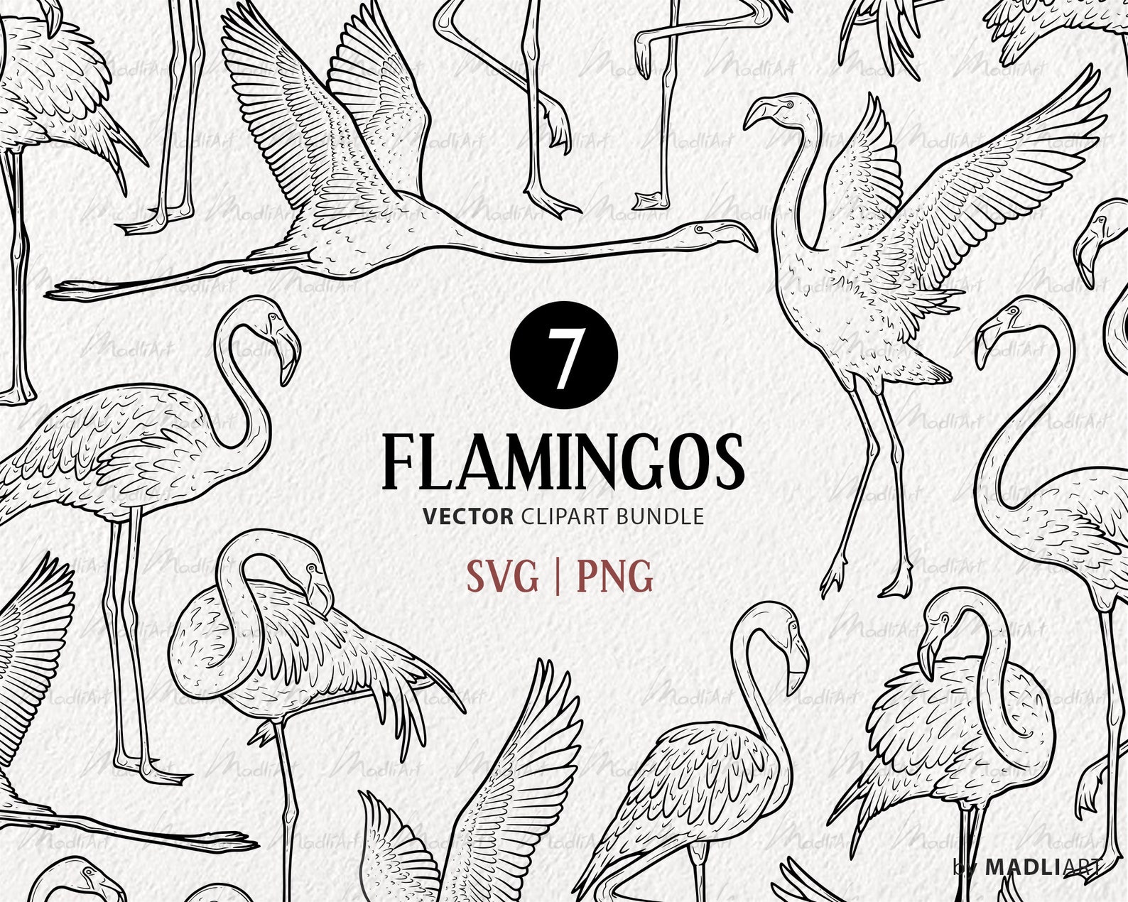 7 Flamingos Vector Clipart Bundle. Hawaii Bird SVG Outline. Flamingo ...