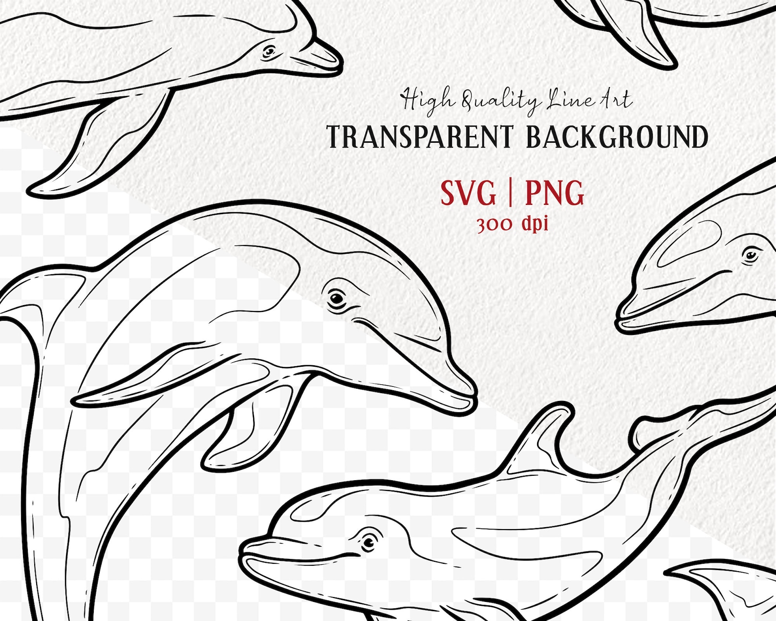 10 Dolphins Vector Clipart Bundle. Ocean Animal SVG Line Art Set ...