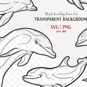10 Dolphins Vector Clipart Bundle. Ocean Animal SVG Line Art Set ...