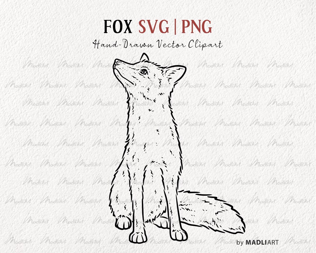 Fox SVG Clipart. Arctic Fox Png. Fox Vector Line Art. Fennec Fox ...