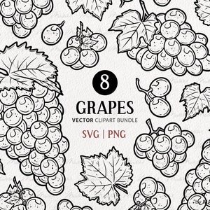 Grape SVG Clipart Bundle. 8 Grapes Vector Line Art. Grape Bundle Illustration. Grape Plant ...