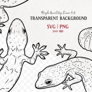 6 Geckos SVG Clipart Bundle. Lizard Vector Drawings. Leopard Gecko ...
