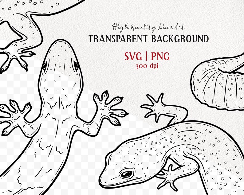 6 Geckos SVG Clipart Bundle. Lizard Vector Drawings. Leopard - Etsy UK