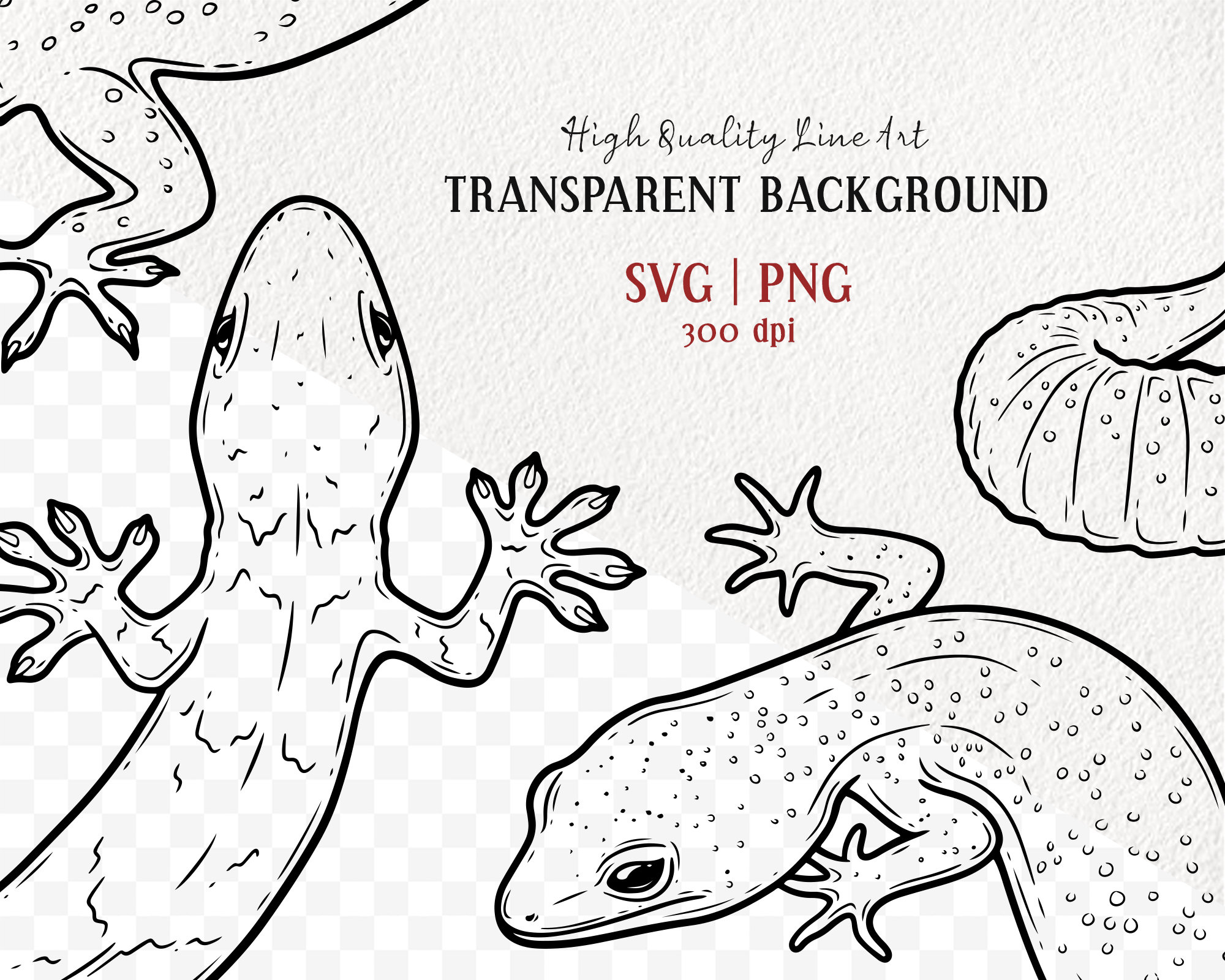 6 Geckos SVG Clipart Bundle. Lizard Vector Drawings. Leopard - Etsy UK