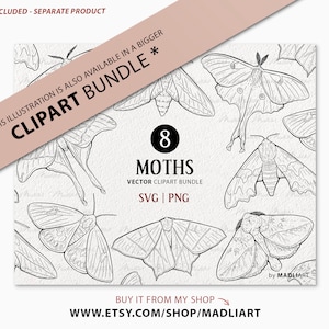 Striped Hawk-moth SVG Clipart. Night Butterfly Vector Drawing ...