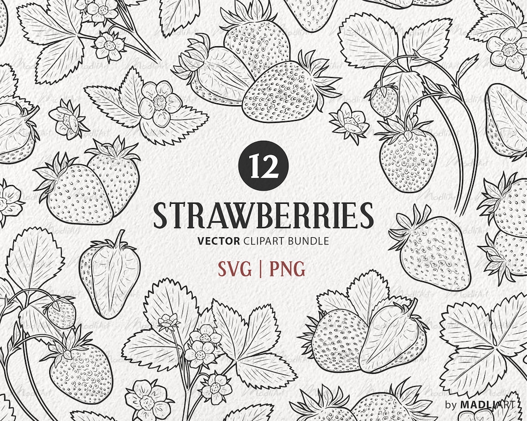 Strawberry SVG Clipart Bundle. 12 Vector Strawberries. Strawberry Plant ...