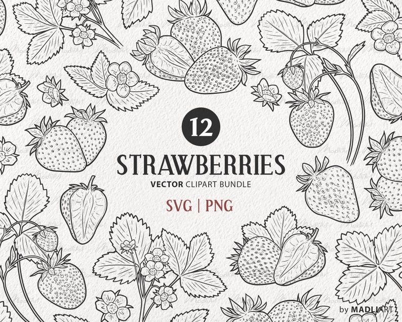 Strawberry SVG Clipart Bundle. 12 Vector Strawberries. Strawberry Plant ...