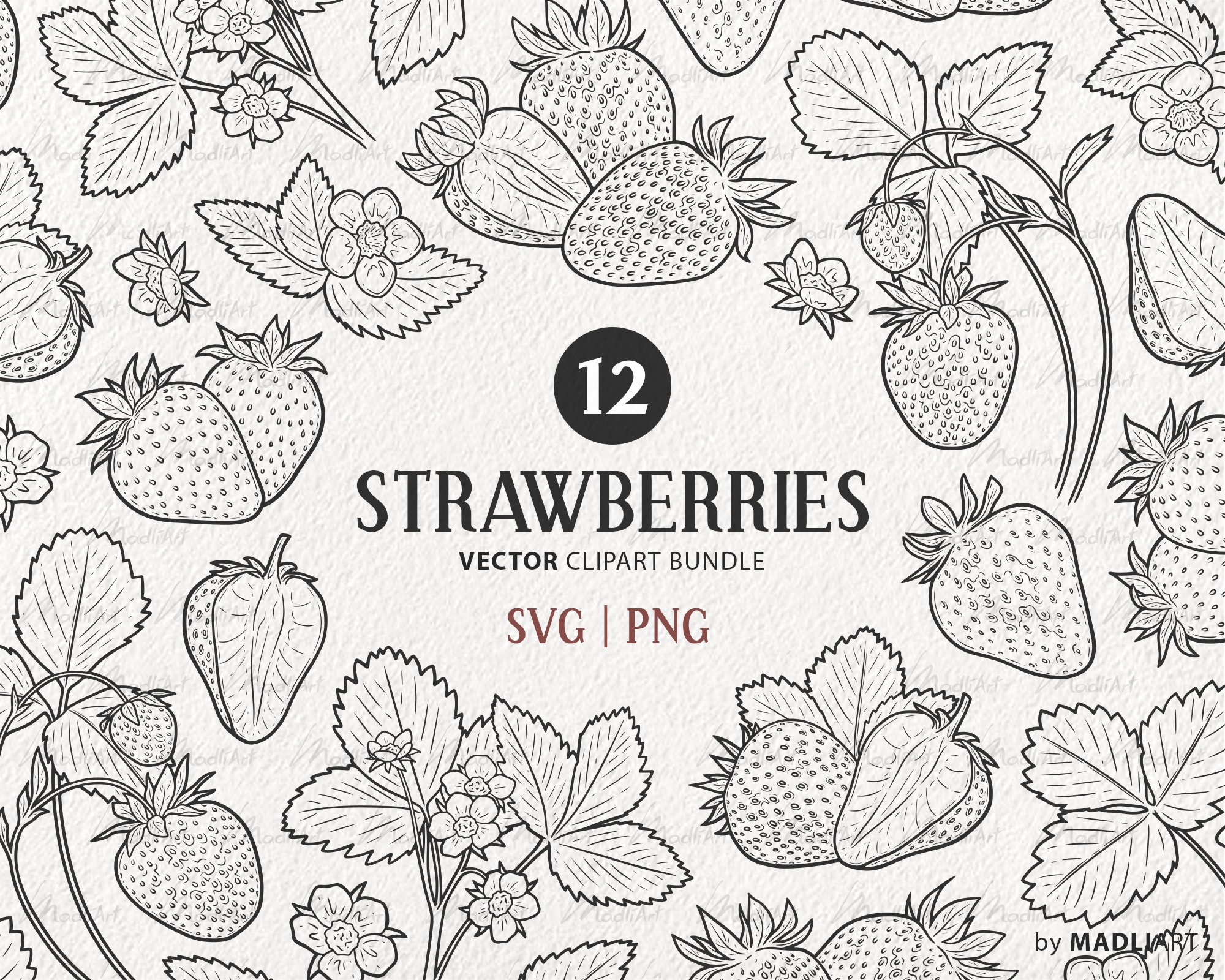 Strawberry SVG Clipart Bundle. 12 Vector Strawberries. Strawberry Plant ...