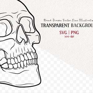 Skull SVG Clipart. Skeleton Head Vector Artwork. Halloween Line Drawing ...