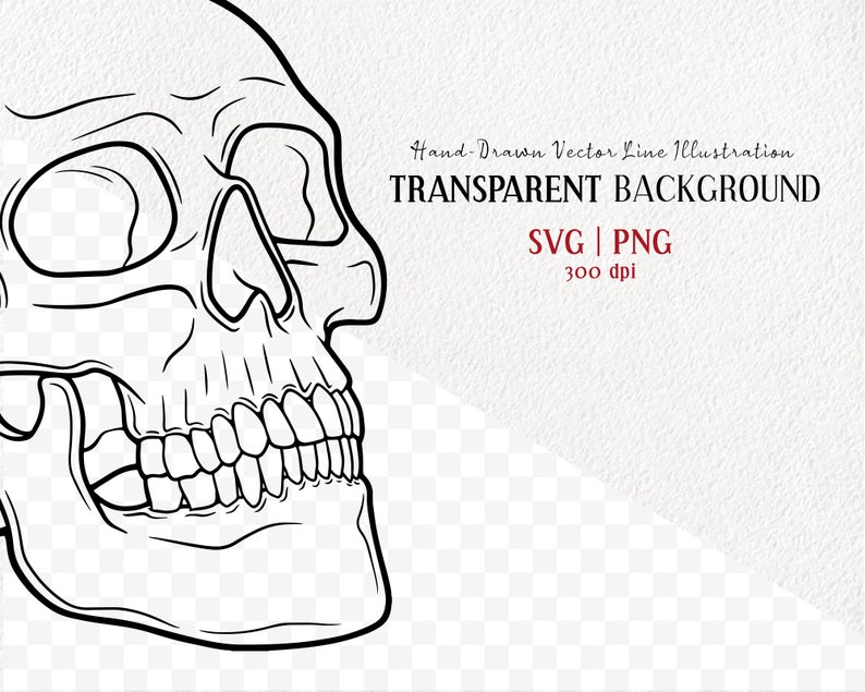 Skull SVG Clipart. Skeleton Head Vector Artwork. Halloween - Etsy