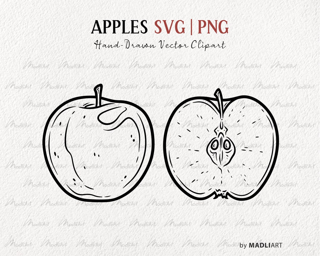 Apple SVG Clipart Set. Apple Vector Line Art. Autumn Apple Fruit Line ...