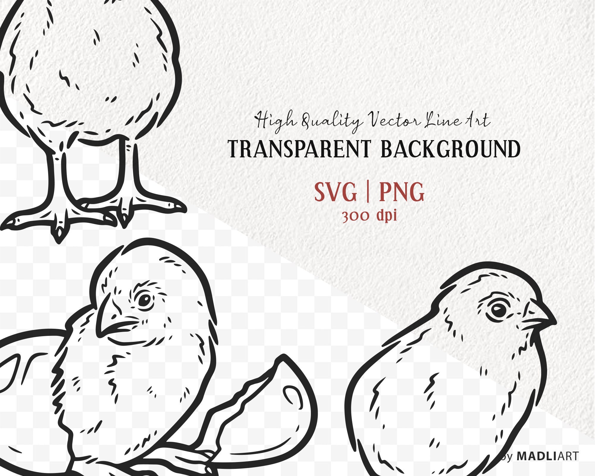 Chicks SVG Clipart. Chicken Vector Art. Hatching Chick Outline Drawing ...