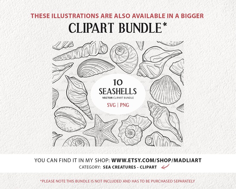 Seashell SVG Clipart. Ocean Themed Vector Line Drawing. - Etsy