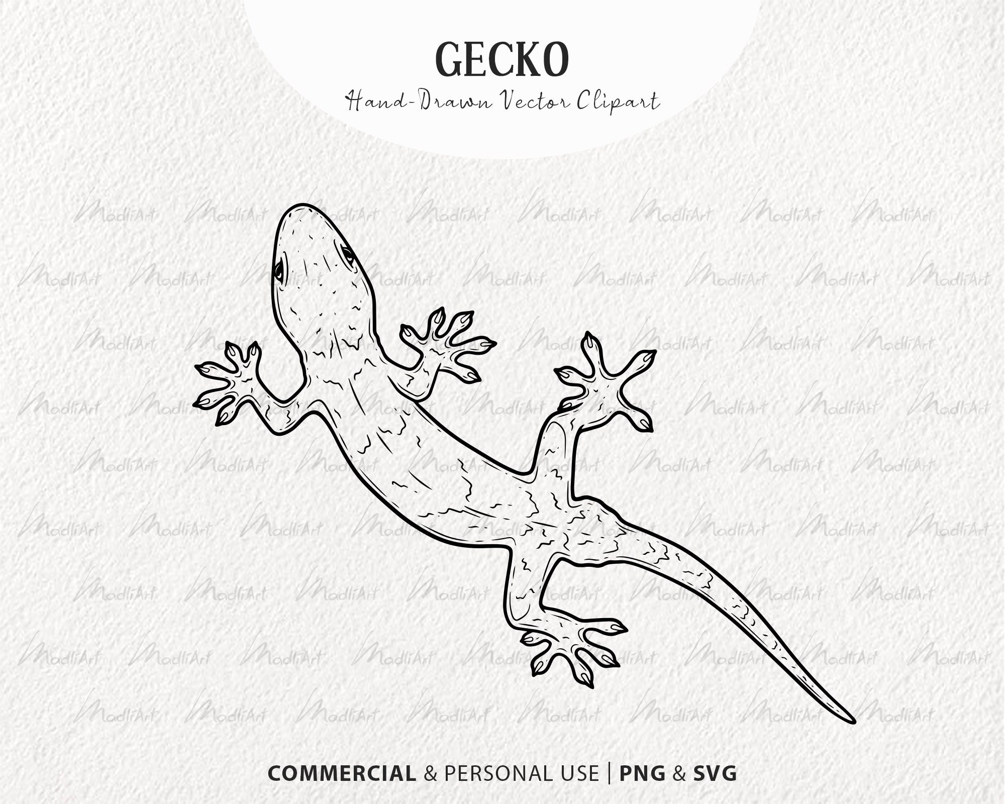 Gecko Drawing Outline