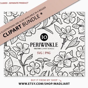 2 Periwinkle SVG Clipart Set. Spring Flower Blossoms. Periwinkle Vector ...