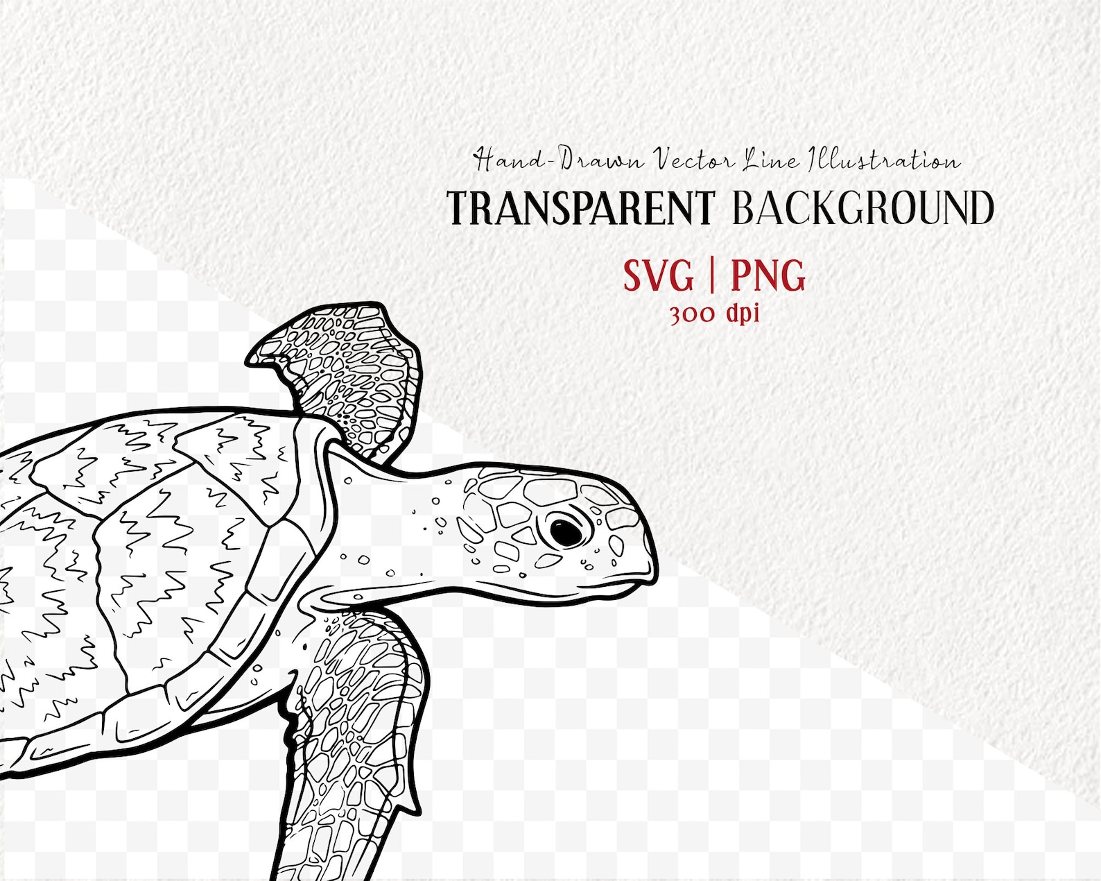Hawksbill Sea Turtle SVG Clip Art. Sea Turtle Vector Line Art. Sea ...