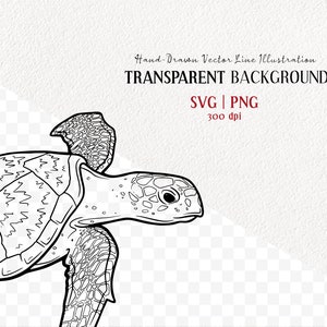 Hawksbill Sea Turtle SVG Clip Art. Sea Turtle Vector Line Art. Sea ...