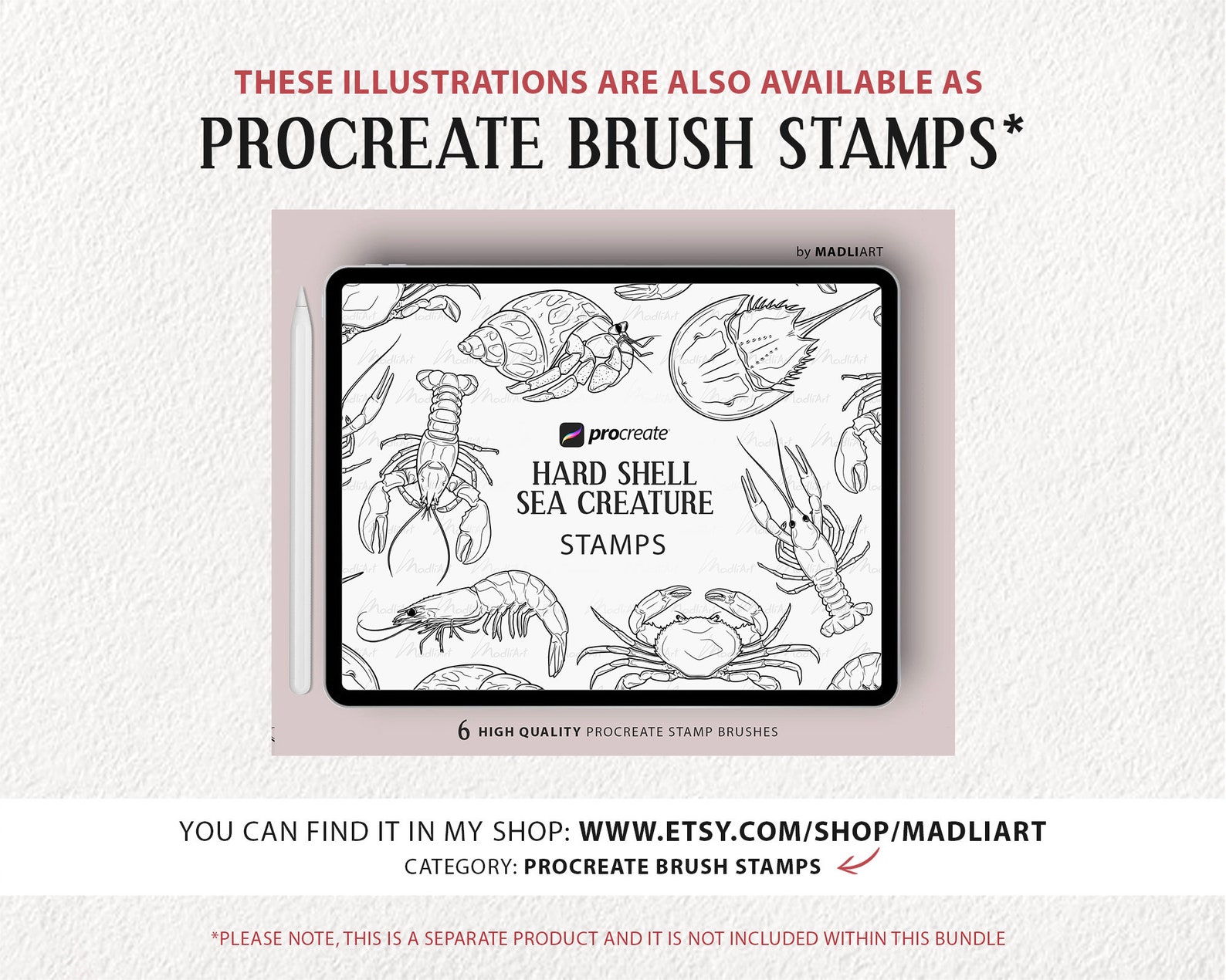 Hard Shell Sea Creatures Clipart Bundle. Marine Animals Vector - Etsy