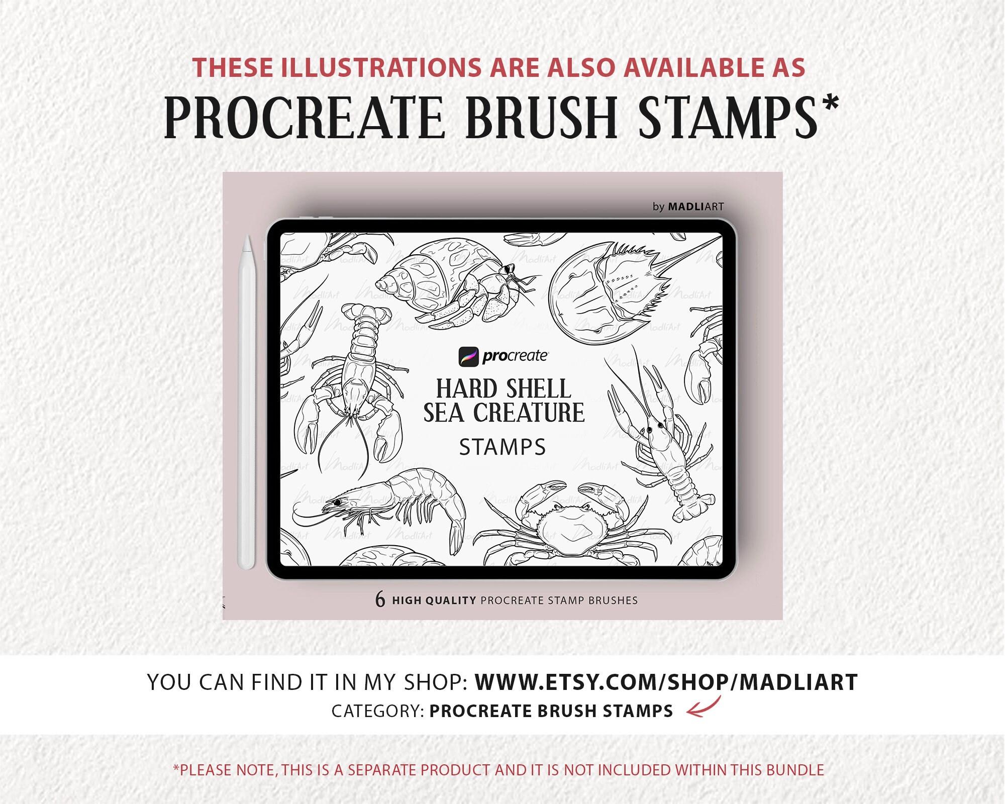 Hard Shell Sea Creatures Clipart Bundle. Marine Animals Vector - Etsy