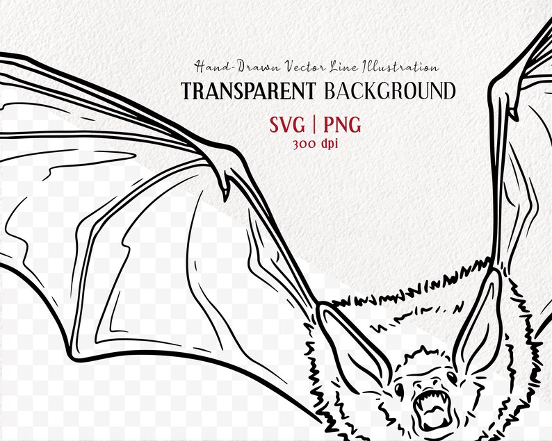 Long-eared Bat SVG Clipart. Hanging Bats Vector Art. Flying - Etsy