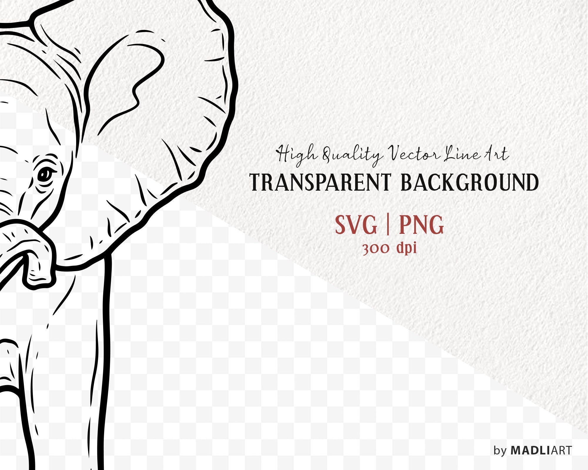 Baby Elephant SVG Clipart. Elephant Vector Drawing. Safari Animal SVG ...