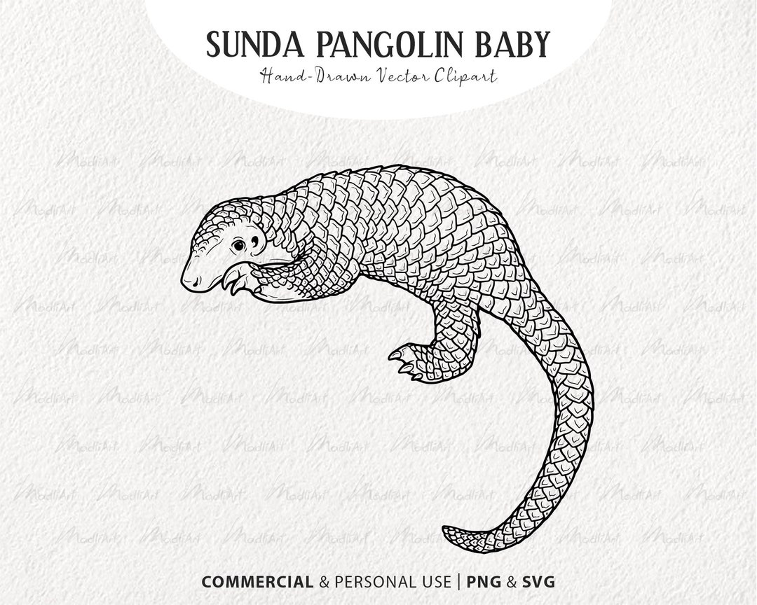 Sunda Pangolin Baby Vector Clipart. Endangered Pangolin SVG Artwork ...