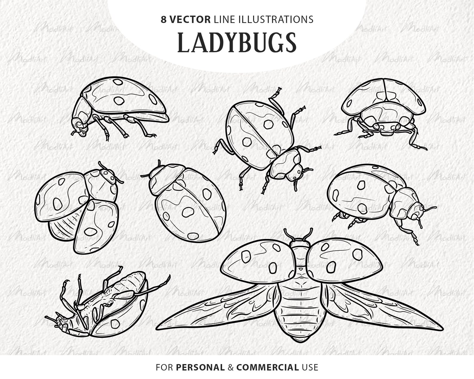8 Ladybug Vector Clipart Bundle. Lady Bug Outline Stamps. Cute - Etsy